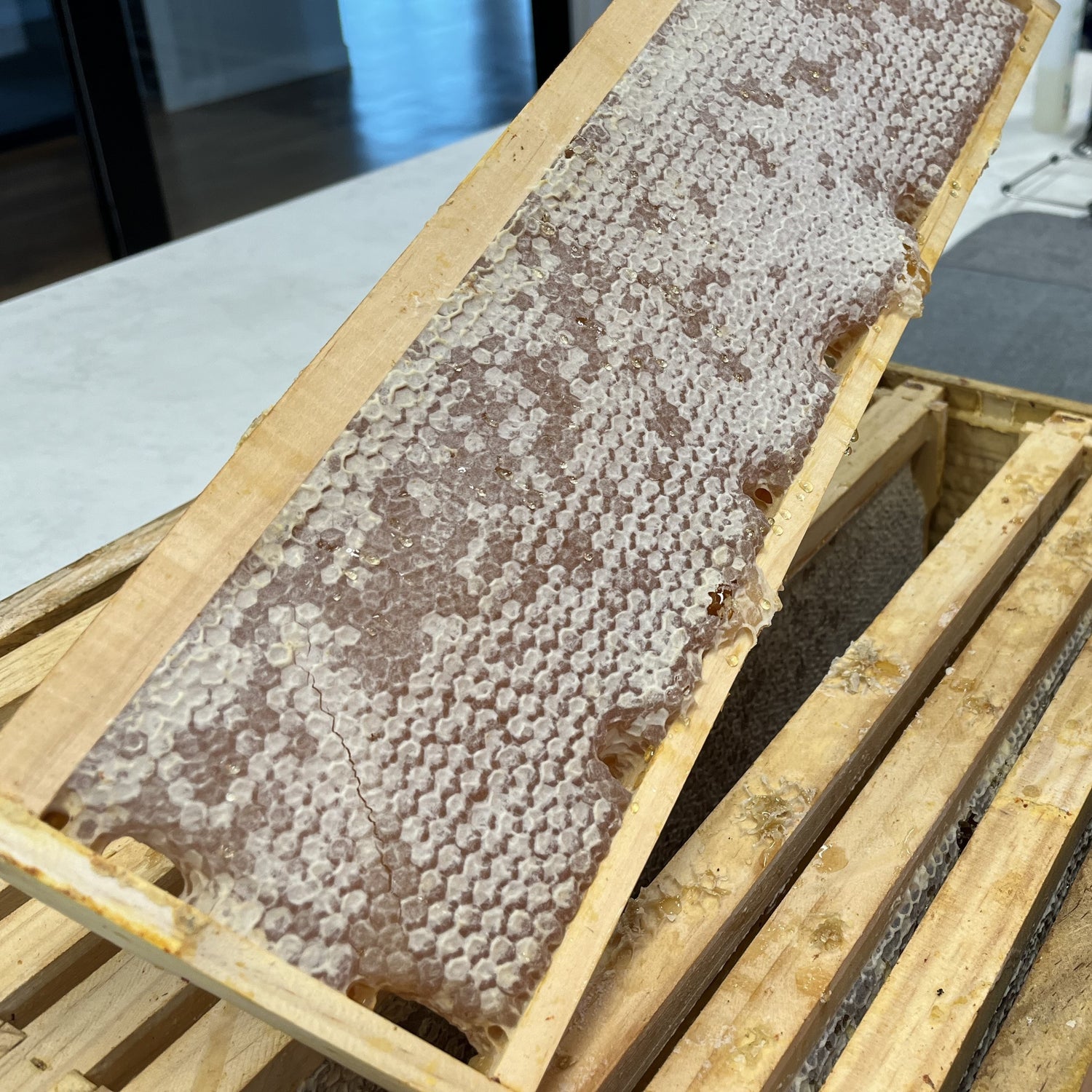 nursery.tuaropaki.com